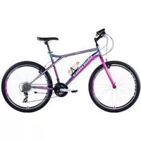 Mountain Bike MTB Cobra 26/21HT pink-grafit 912411-20