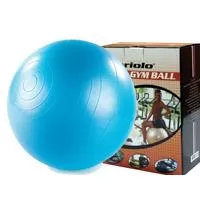 Lopta za pilates 65 cm 291358 Blue