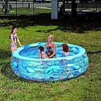 BestWay Crystal Pool 196 x 53 51071