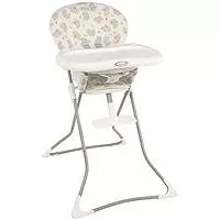 Graco Stolica za hranjenje TeaTime Bertie&Fern 5300032