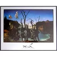 Salvador Dali - Swans Reflecting Elephants - 1021 - 56/71HPLN P 010