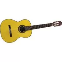 Klasična gitara - Takamine G128S