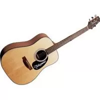 Akustična gitara Takamine G320