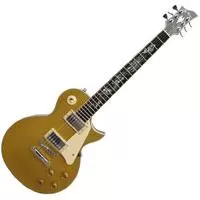 Jay Turser JT-220D Serpent Gold Top Električna Gitara