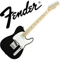 Fender standard Telecaster MN BLK