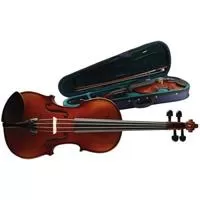 Stagg VN 4/4 školska violina