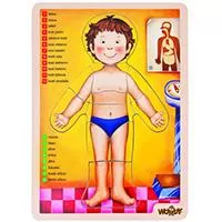 WOODY Slagalica LJUDSKO TELO - Puzzle Human Body 90332 - Engleska verzija