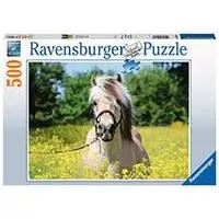 Puzzle 500 delova Konj u polju uljane repice Ravensburger 15038