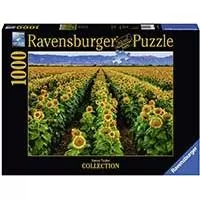 Puzzle Slagalica 1000 Zlatna polja suncokreta Ravensburger 15288