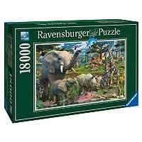 Ravensburger slagalica Na izvoru 18000 delova 01-178230