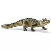 Schleich Divlje Životinje - Aligator, mladunče 14728