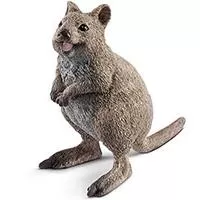 Schleich Figure Divlje životinje - Kvoka 14823