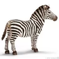 Schleich Divlje Životinje - Zebra, mužjak 14391