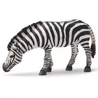 Schleich Divlje Životinje - Zebra, pase 14609