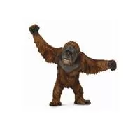 Collecta Divlje Životinje Orangutan CT88730