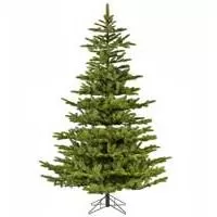 Realistična novogodišnja jelka visine 150 cm Koreana Spruce 68.9980