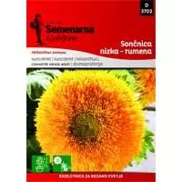 Seme za cveće - Suncokret niski žuti - Helianthus annuus 3702