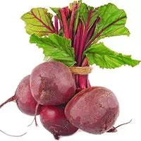 Seme - Cvekla bikor - Beta vulgaris L. var. conditiva 262