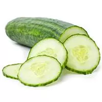 Seme za Krastavac delikates - Cucumis sativus L. 625