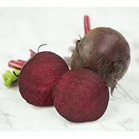 Cvekla egipatska - seme - Beta vulgaris L. var. conditiva 50g