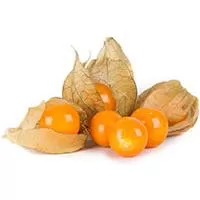 Seme za začinsko bilje - Peruanska jagoda - Physalis peruviana 1075