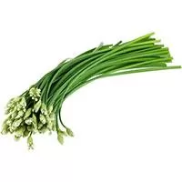 Začinsko bilje - Kineski vlašac - Allium tuberosum 1084