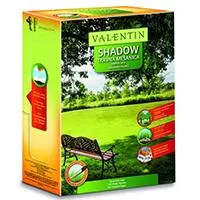 Trava - seme Valentin Shadow 1kg - za senovit travnjak