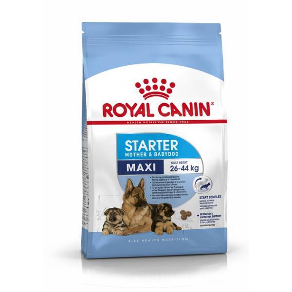 Royal Canin Maxi Starter - 4kg