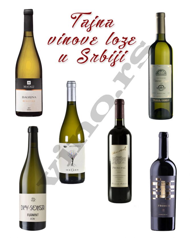Tajna vinove loze, izabrano iz Srbije, Bagrina