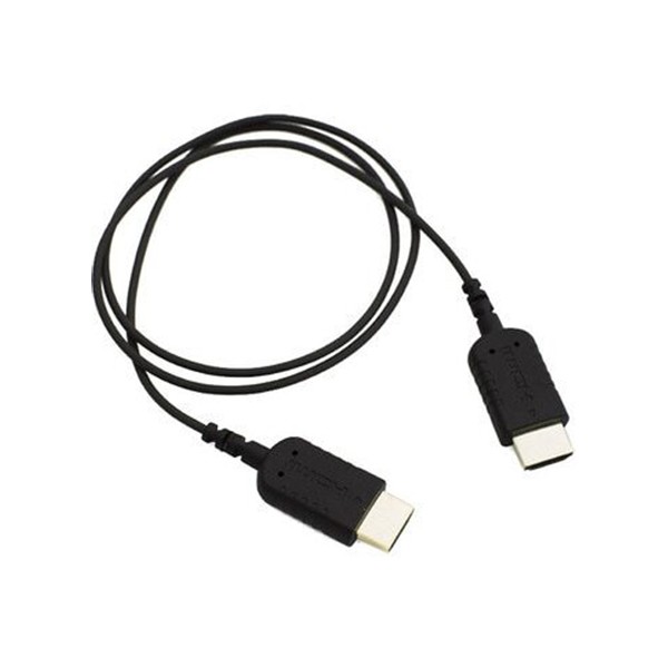 R Mini-HDMI to HDMI Cable (20cm) ( CP.RN.00000108.01 )