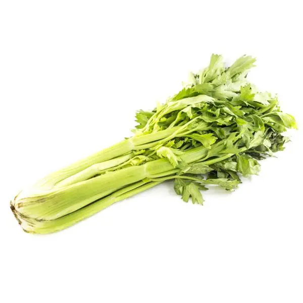 Celer stabljika 500g