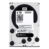 4 TB Western Digital WD4003FZEX 3.5"