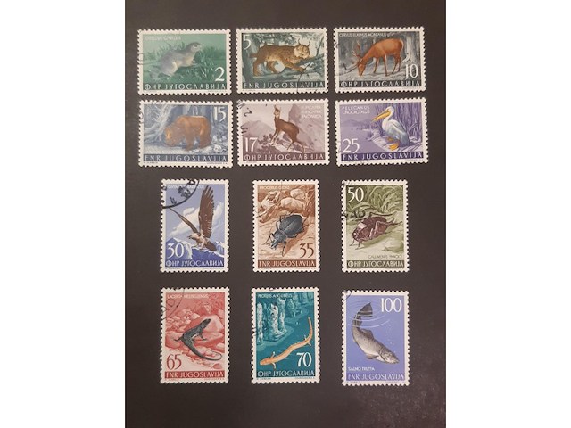 Jugoslavija 1954. 1. fauna # kompl. žig. serija