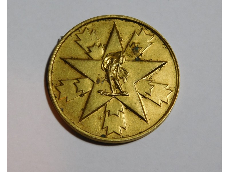 Medalja zasluge za narod