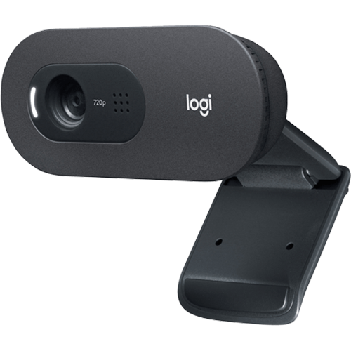 Logitech C505e web kamera - 960-001372