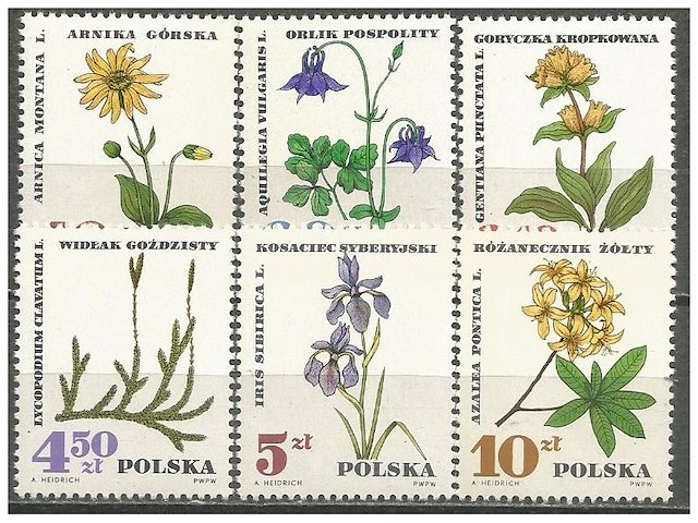 Poljska,Flora 1967.,čisto