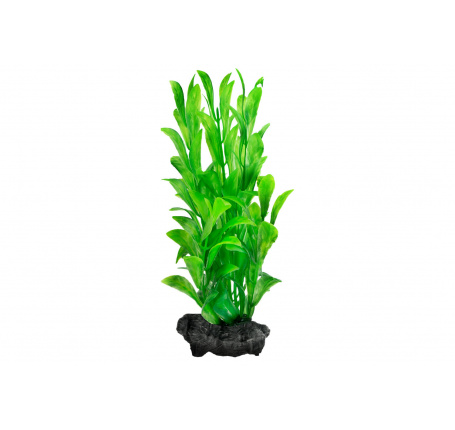 Tetra DecoArt Hygrophila S 15cm