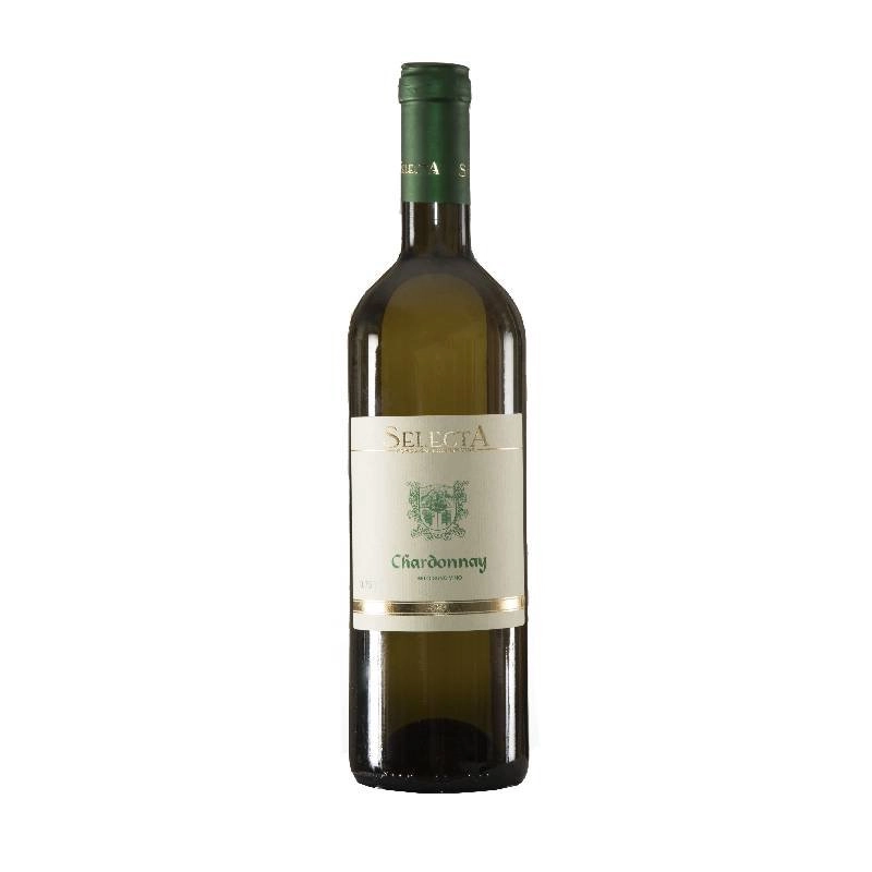 Belo vino Šardone – Chardonnay