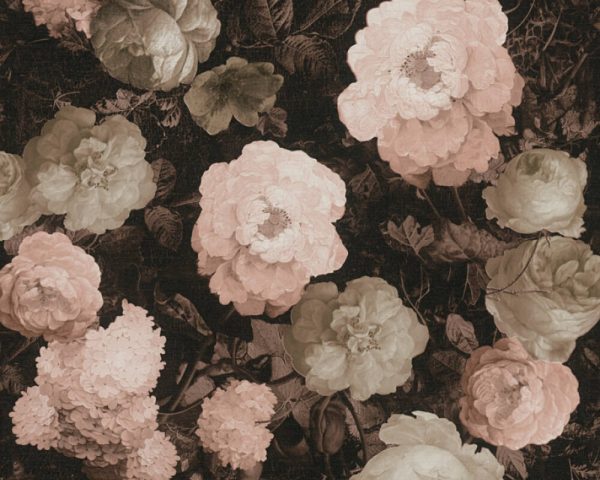 A.S. Création Wallpaper «Floral, Black, Cream, Pink» 376504