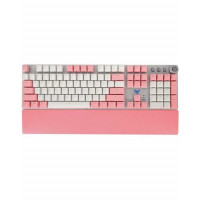 Aula F2088 Pink/White