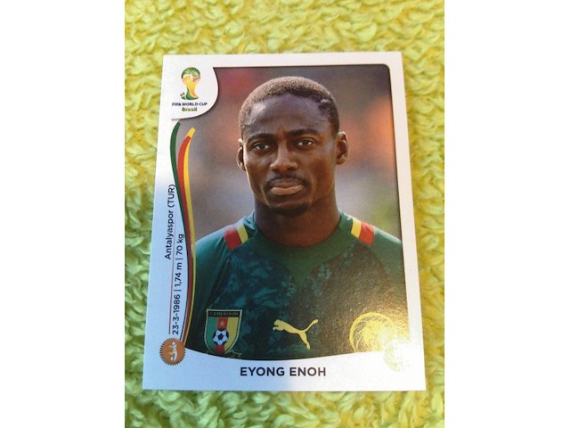 Panini FIFA 2014 Brazil sličica broj 100