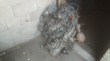 Motor za Peugeot 206 1.4i