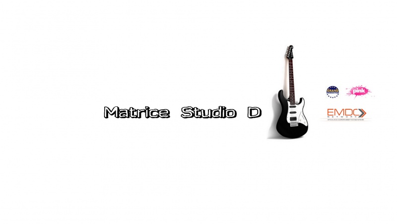 profesionalne Muzicke Matrice Studio D
