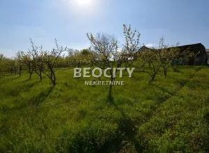 Prodaja Kancelarija - Grocka, Vrčin