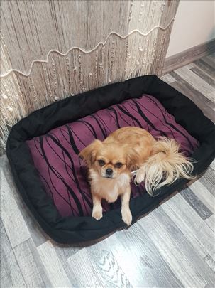 Krevet - jastuk za pse