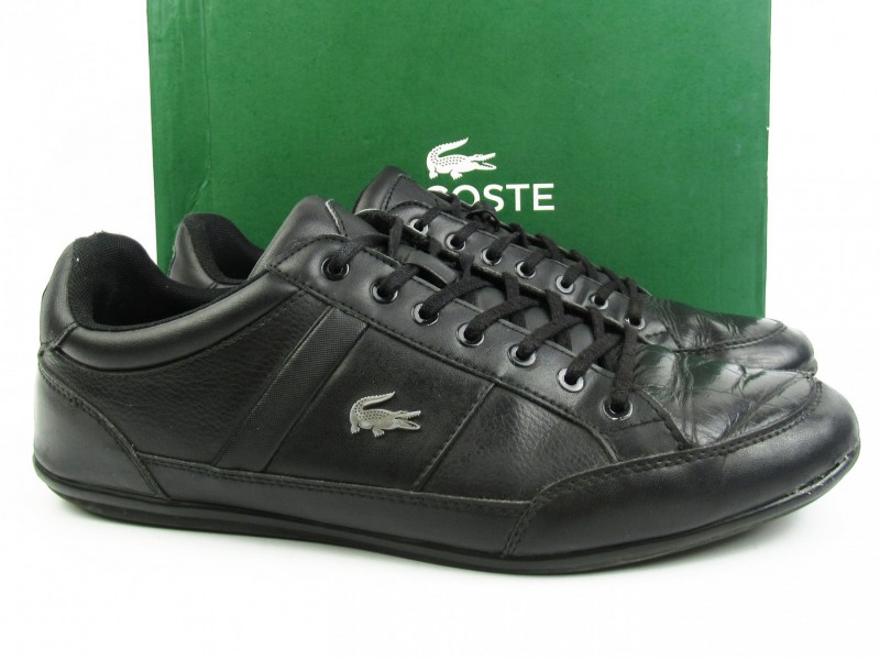 Lacoste chaymon Patike koža T1729
