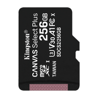 SD Card 256 GB Kingston SDCS2/256GBSP