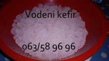 vodeni kefir tibicos, japanski kristali za 2 litre