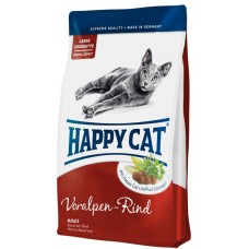 Happy cat adult govedina