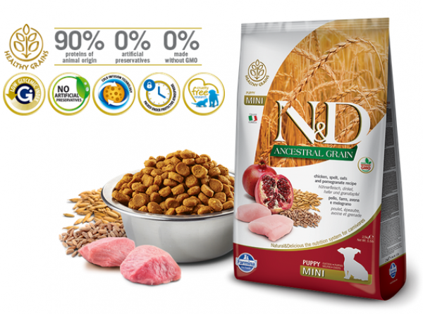 ND Suva hrana LG Puppy Mini Chicken&Pomegranate 800 g